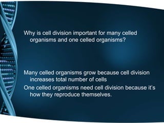 Chapter 10, section 1 cell division | PPT