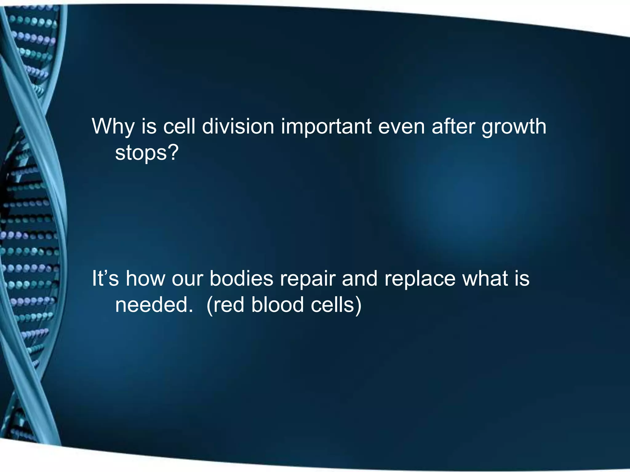 Chapter 10, section 1 cell division | PPT