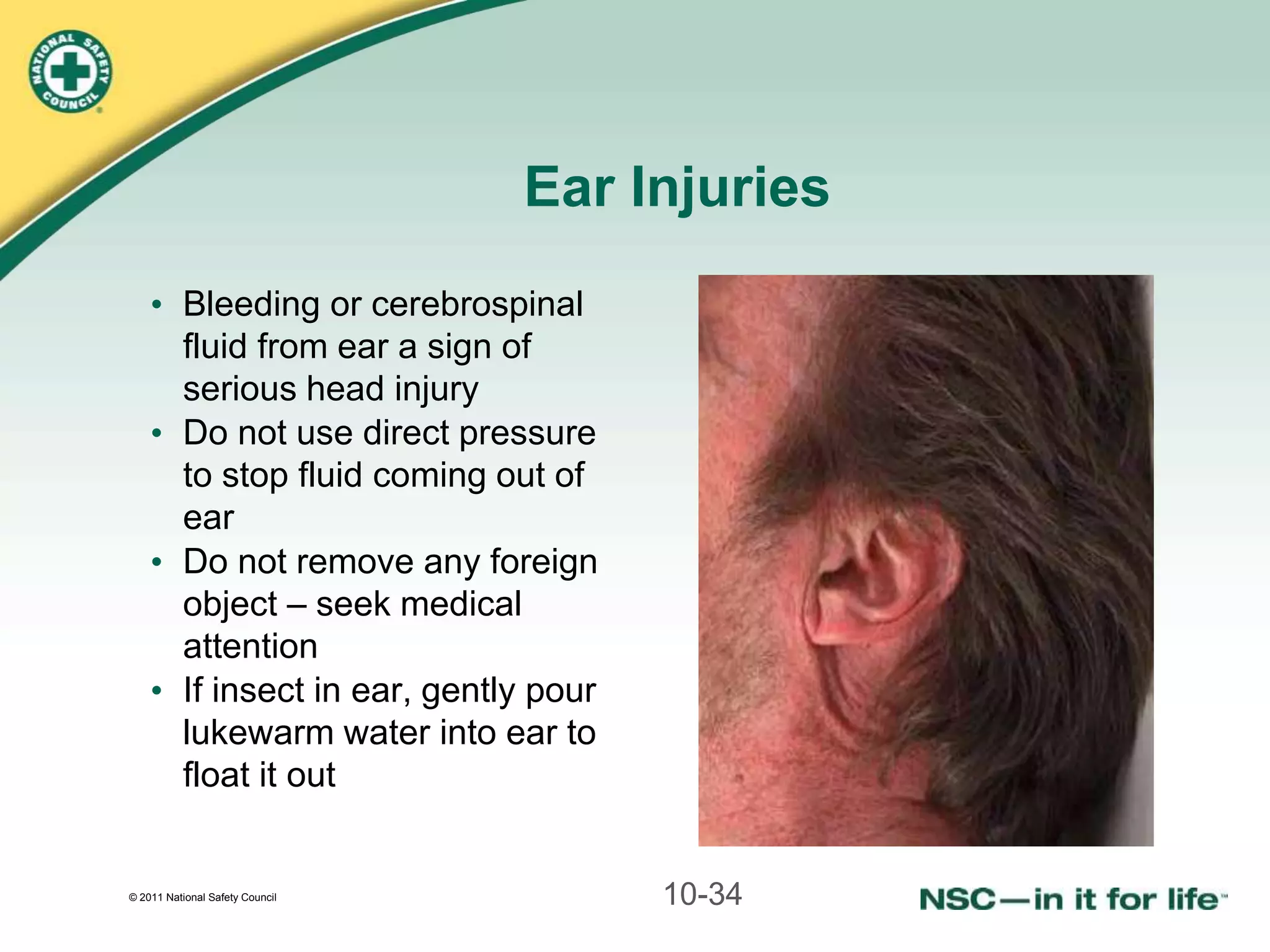 Chapter 10 Soft tissue.ppt