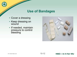 Chapter 10 Soft tissue.ppt