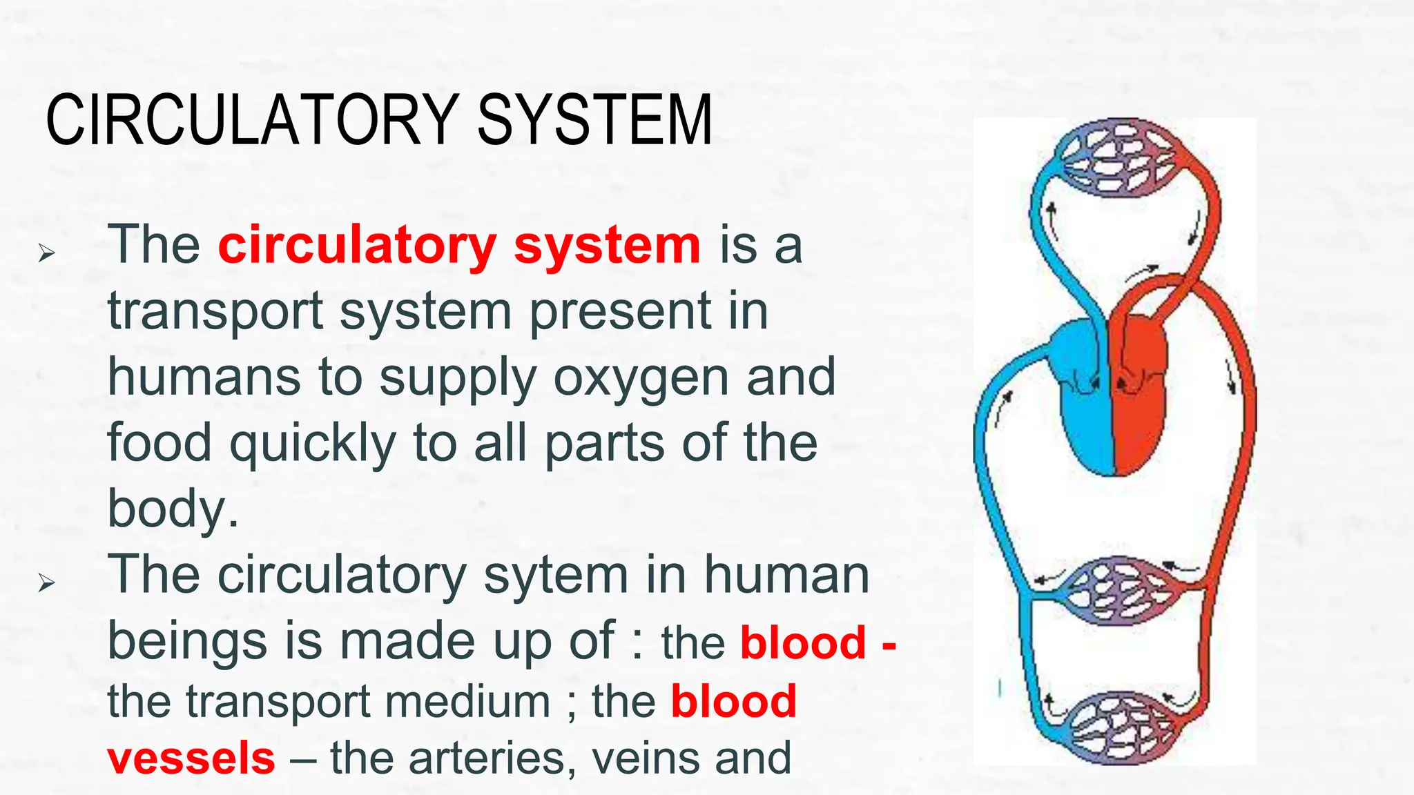 CHAPTER 10 TRANSPORT SYSTEMS FOR BODY.pptx