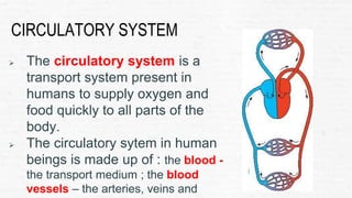 CHAPTER 10 TRANSPORT SYSTEMS FOR BODY.pptx