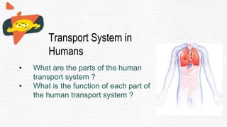 CHAPTER 10 TRANSPORT SYSTEMS FOR BODY.pptx