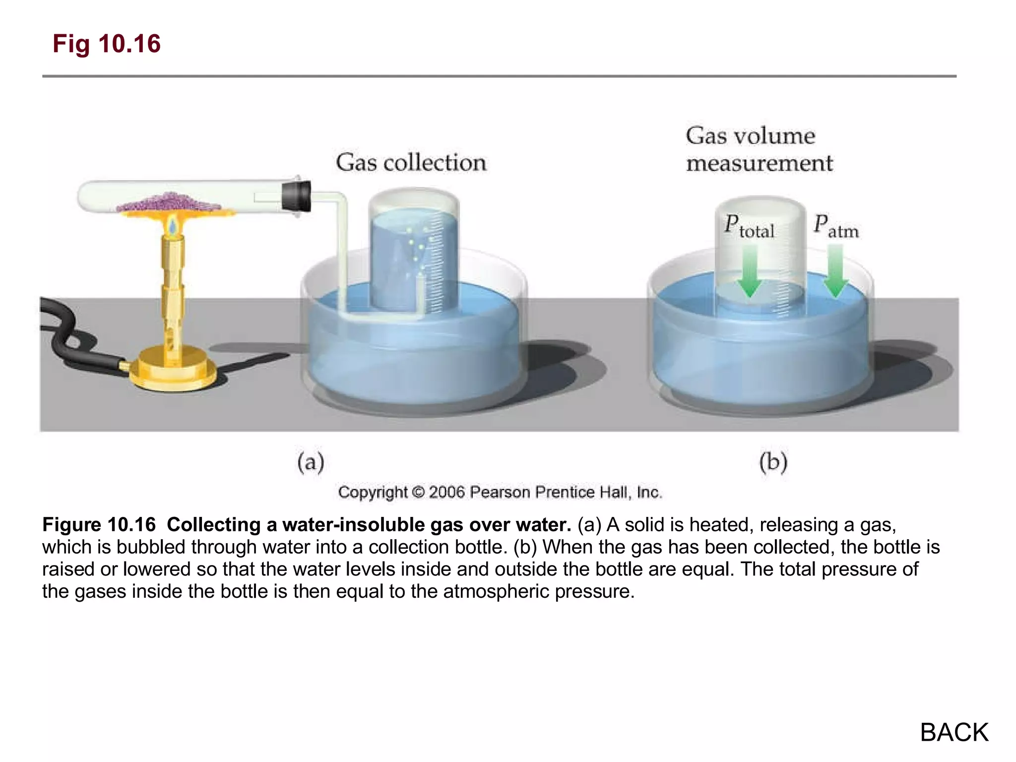 Gases Worked Examples | PPT