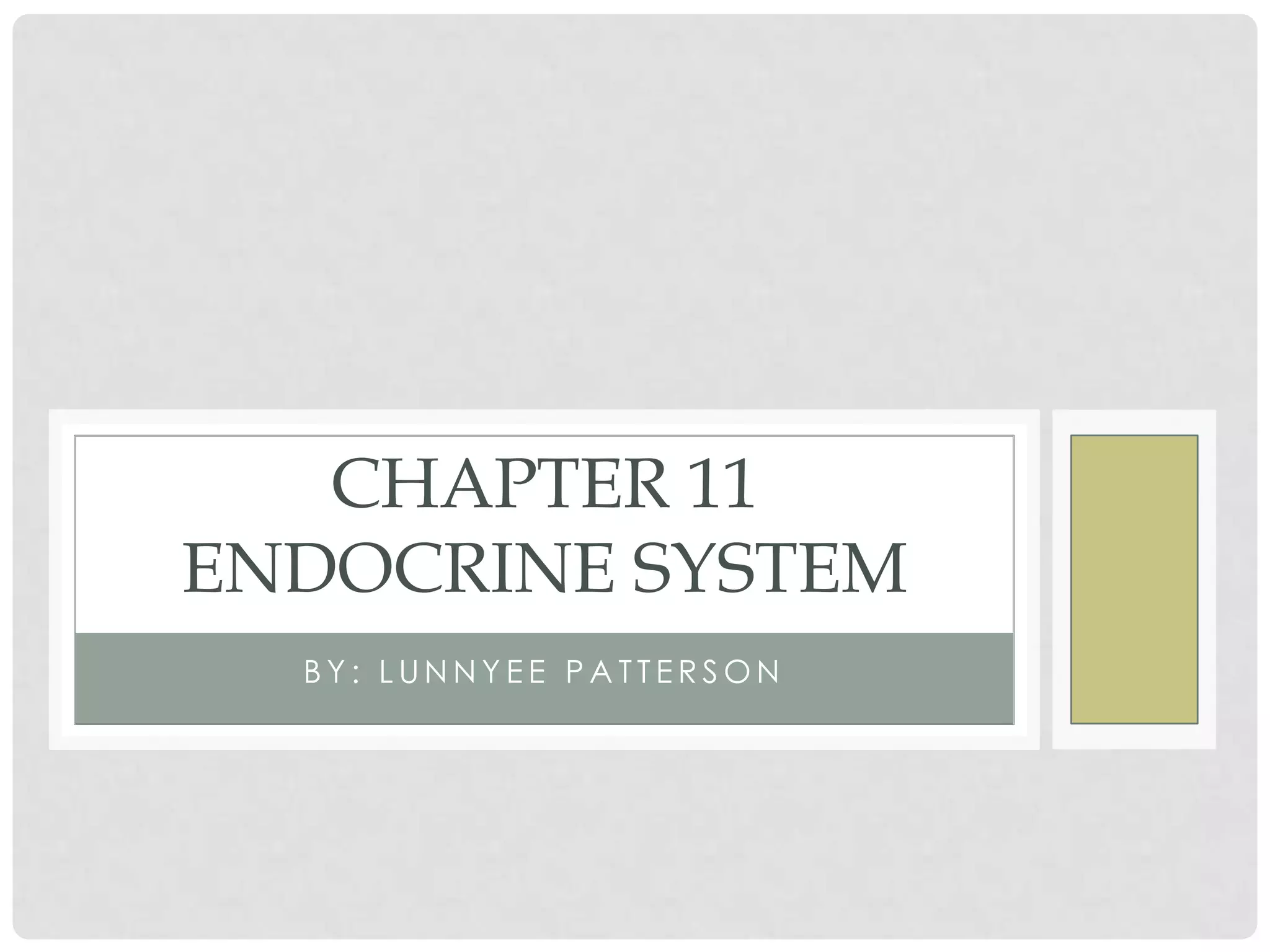 Chapter 11 | PPT