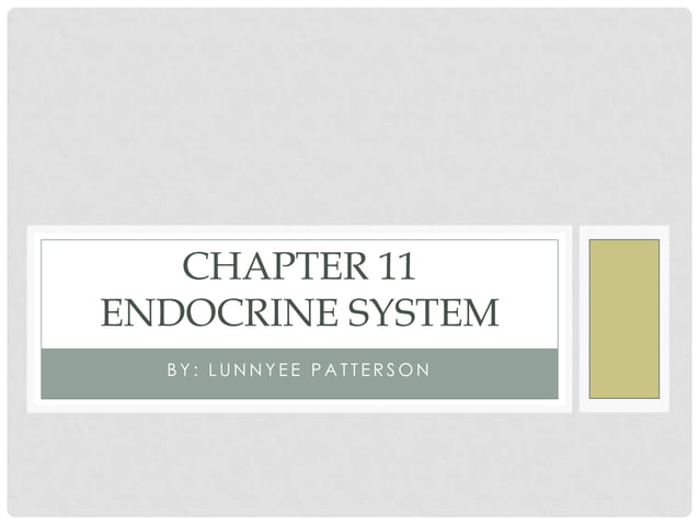 Chapter 11 | PPT