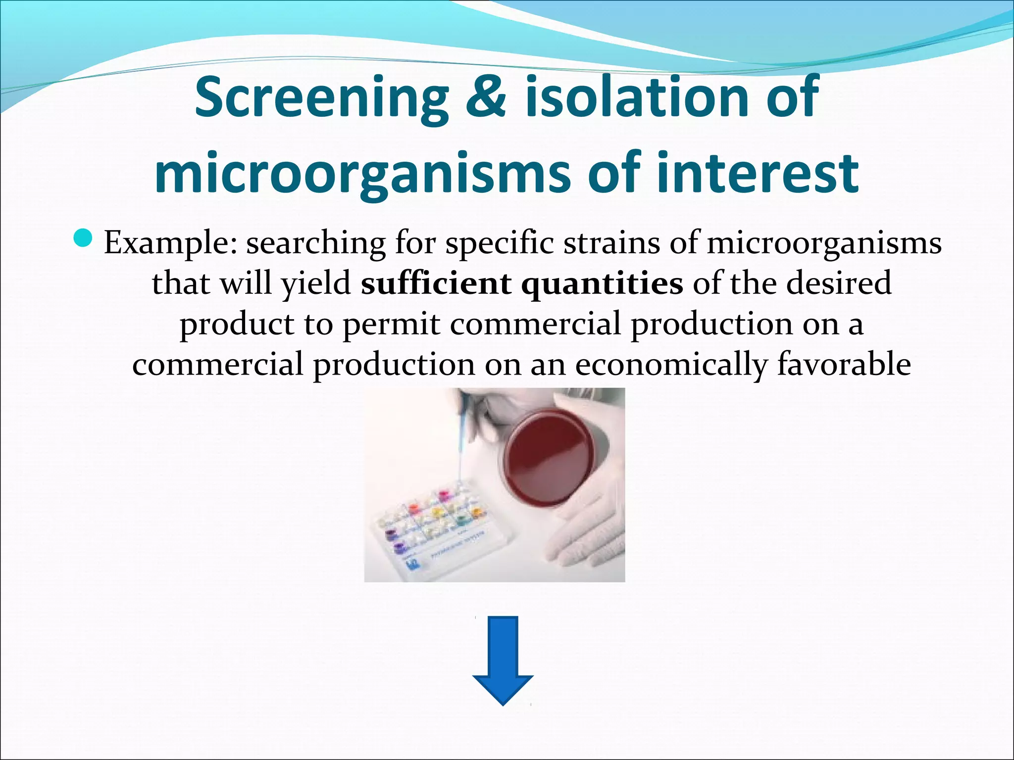 MIC204 (Food Microbiology) - Chapter 11 : Beneficial Uses of ...