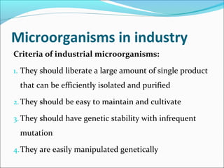 Useful Microorganisms In Food