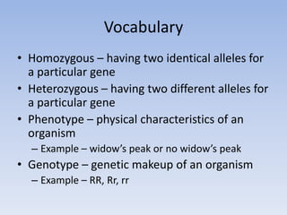 Chapter 11.2 Notes - Applying Mendel's Principles | PPTX