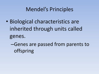 Chapter 11.2 Notes - Applying Mendel's Principles | PPTX