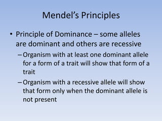 Chapter 11.2 Notes - Applying Mendel's Principles | PPTX