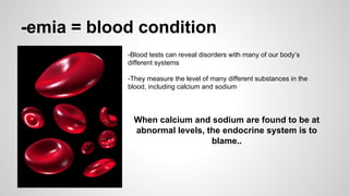 Chapter 11: The Endocrine System | PDF