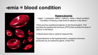 Chapter 11: The Endocrine System | PDF