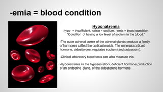Chapter 11: The Endocrine System | PPT