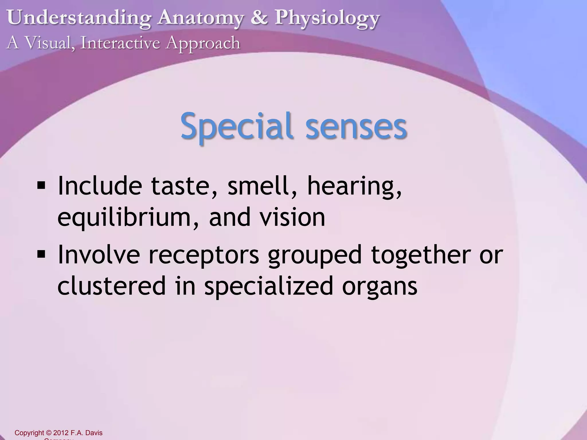 Chapter11 - Sense Organs | PPT | Brain and Nervous System Disorders ...
