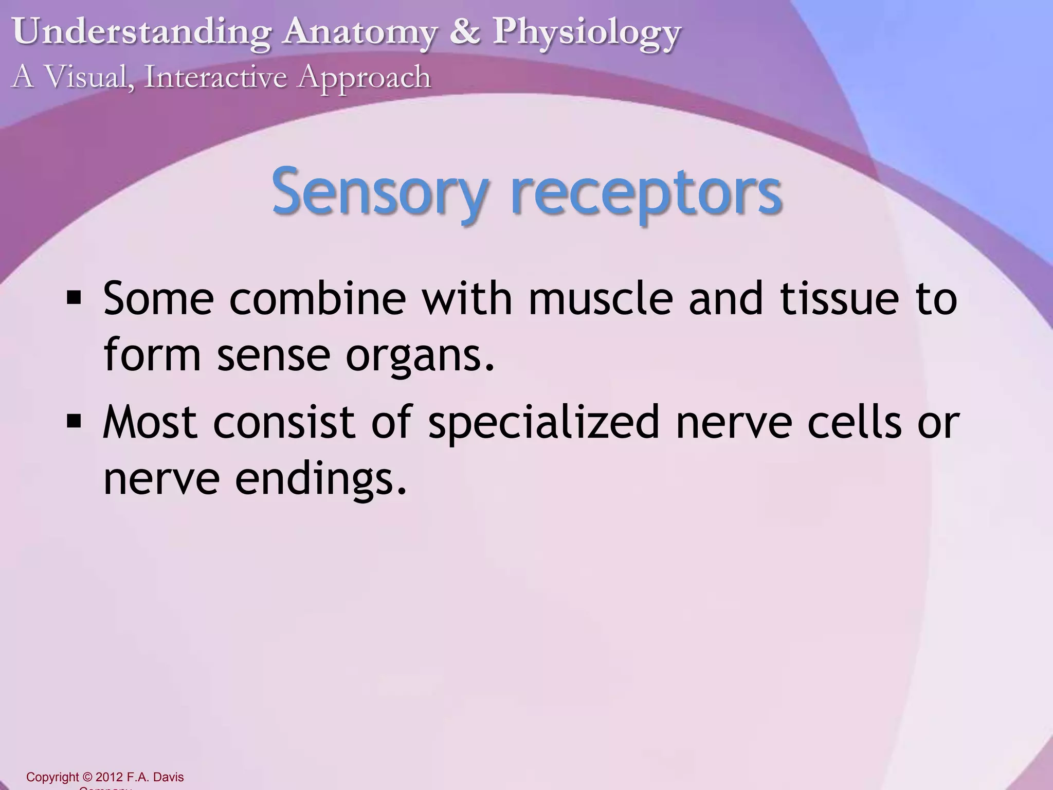Chapter11 - Sense Organs | PPT | Brain and Nervous System Disorders ...