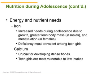 Chapter 11: Nutrition through the Life Span: Infancy, Childhood, and ...