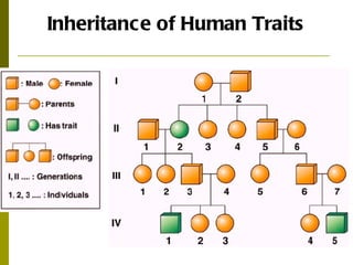 Chapter 11.1 notes | PPT