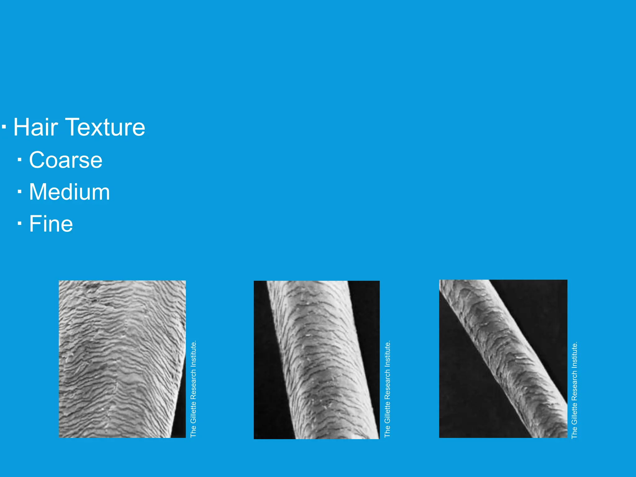 materi tentang anatomi dan fisiologi rambut dan kulit kepala | PPTX