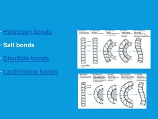 materi tentang anatomi dan fisiologi rambut dan kulit kepala | PPTX