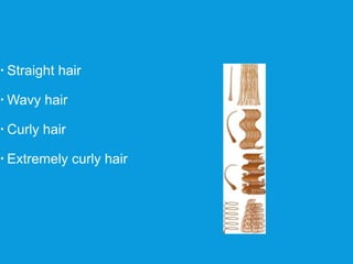 materi tentang anatomi dan fisiologi rambut dan kulit kepala | PPTX