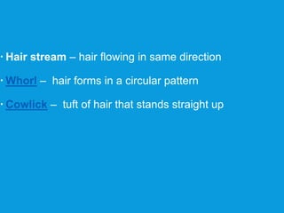 materi tentang anatomi dan fisiologi rambut dan kulit kepala | PPTX