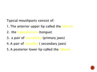 Chapter 1: introduction to plant entomology | PPT