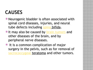 chapter 11.neurogenic bladder nursing care pptx | PPTX