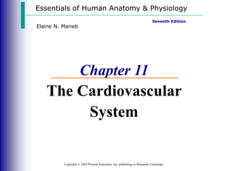 Comprehensive Overview of the Cardiovascular System in Human Anatomy ...