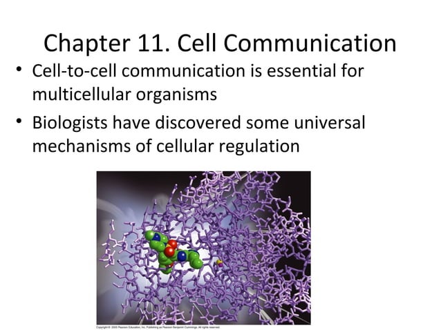 Chapter11 cellcommunication-151125145000-lva1-app6892 | PPT