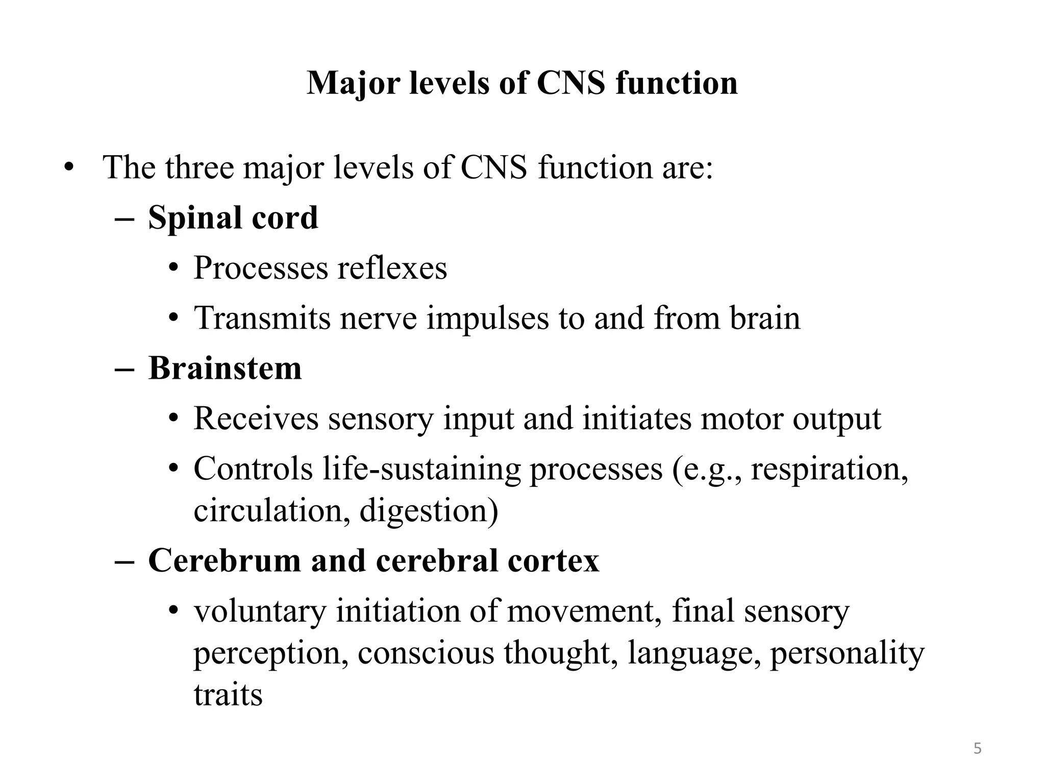 Chapter 11- CNS-1.pptx