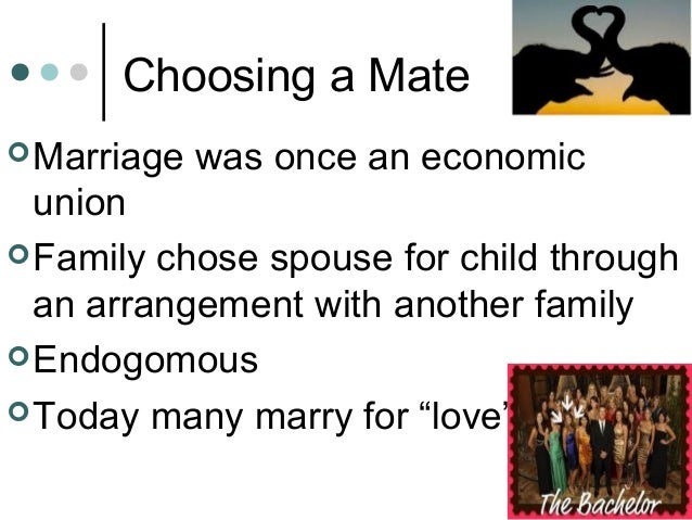 Sociology Chapter 11 family and marriage