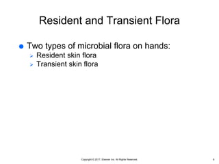 Chapter 11 hand hygiene | PPTX