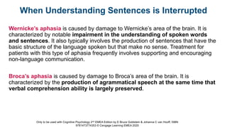 Chapter 11 - Language(1).pptx
