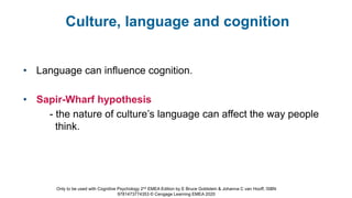 Chapter 11 - Language(1).pptx