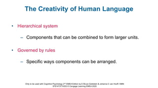 Chapter 11 - Language(1).pptx