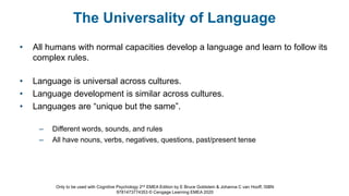 Chapter 11 - Language(1).pptx