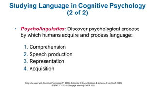 Chapter 11 - Language(1).pptx