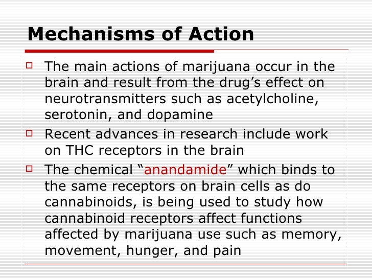 Chapter 11 Marijuana