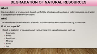 Chapter 11-Sustainable Management of Natural Resources.pptx