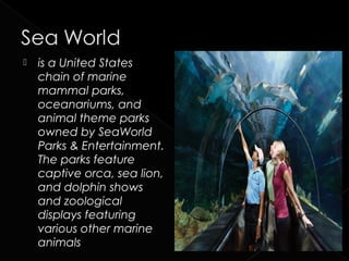 Chapter11 theme parks | PPT