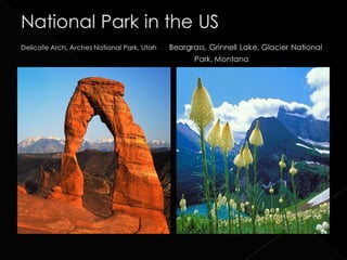 Chapter11 theme parks | PPT