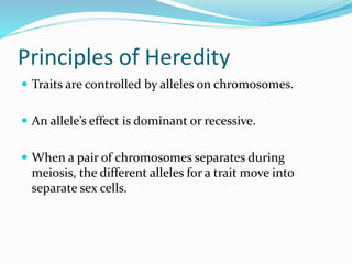 Chapter 11 7th grade genetics notes section 1 easy | PPTX