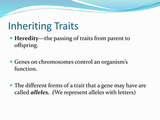 Chapter 11 7th grade genetics notes section 1 easy | PPTX