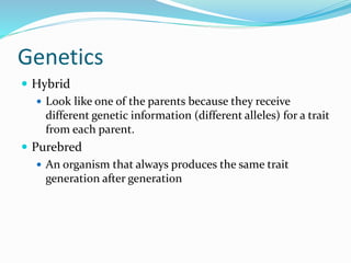 Chapter 11 7th grade genetics notes section 1 easy | PPTX