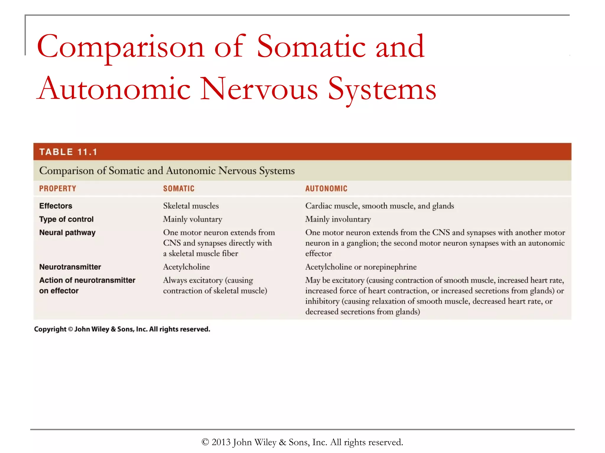 Chapter 11 autonomic nervous system | PPT