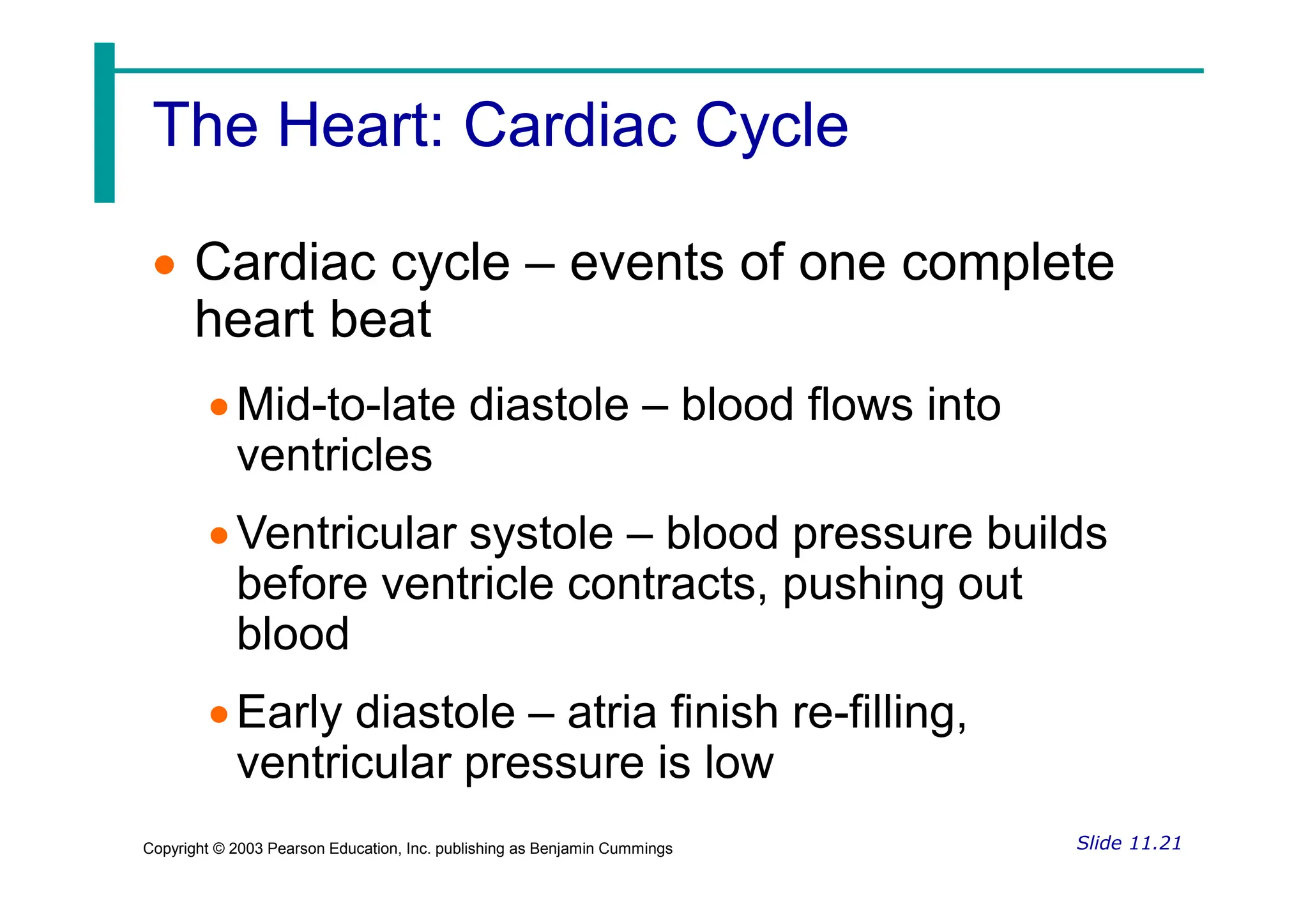 Chapter 11 cardio ppt.pdf
