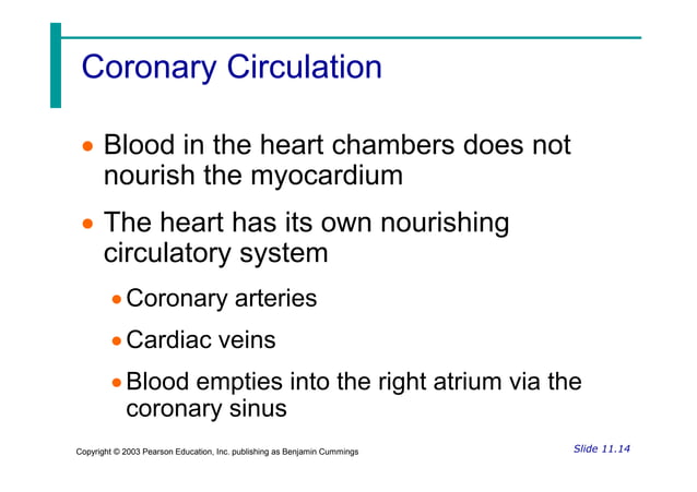 Chapter 11 cardio ppt.pdf