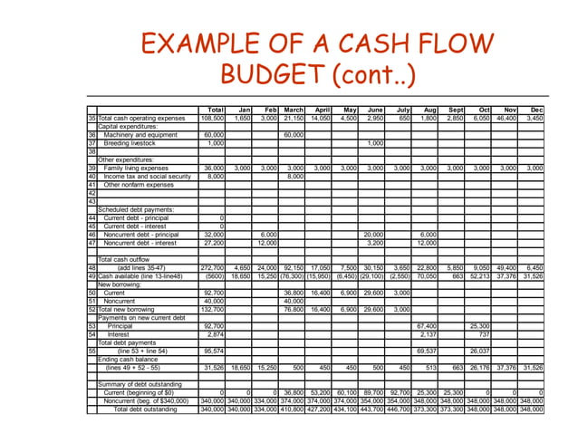 Chapter 11(cash flow budgeting) | PPT