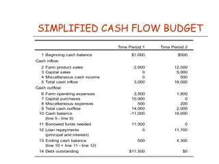 Chapter 11(cash flow budgeting) | PPT